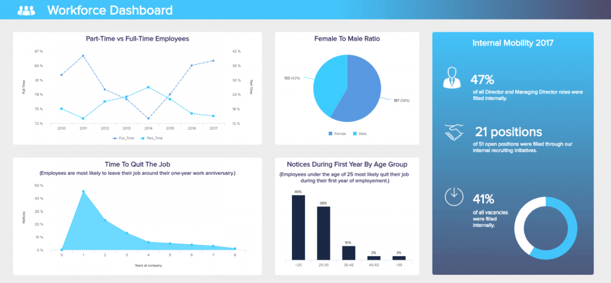 Workforce Analysis Report Template