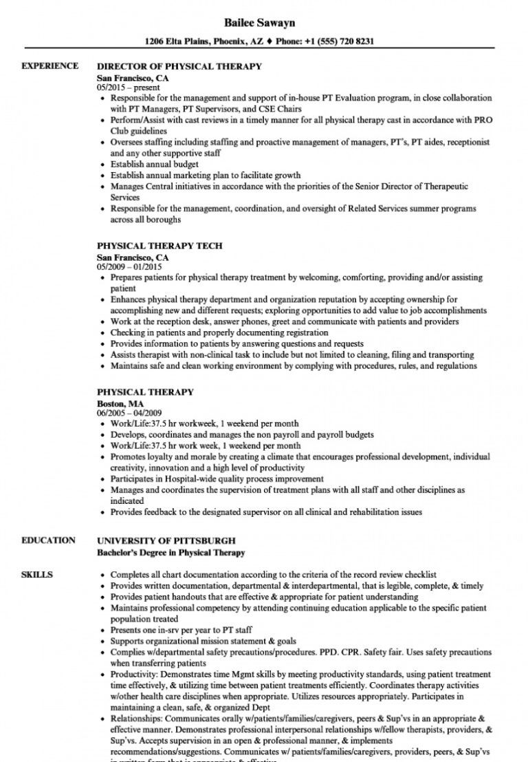 Physical Therapist Job Description Template - Dremelmicro
